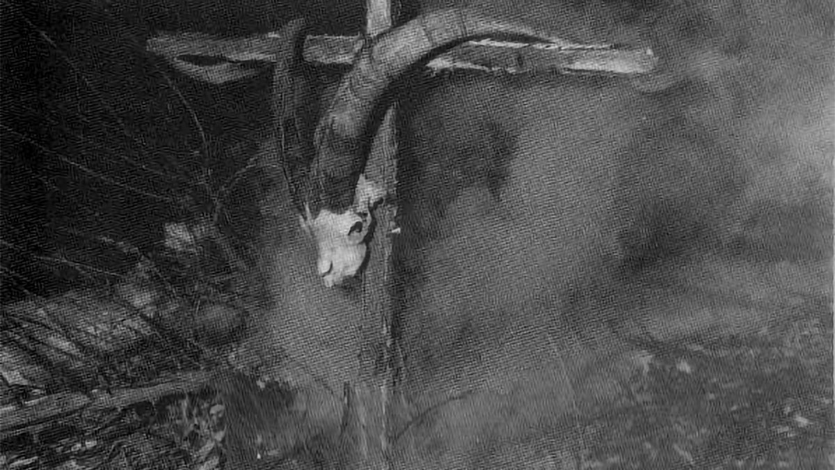 28 Years Ago: DARKIFIED record Sleep Forever... | Todestrieb