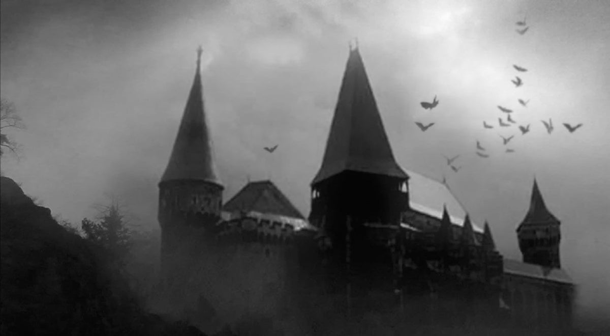 Torver (2016) | Todestrieb