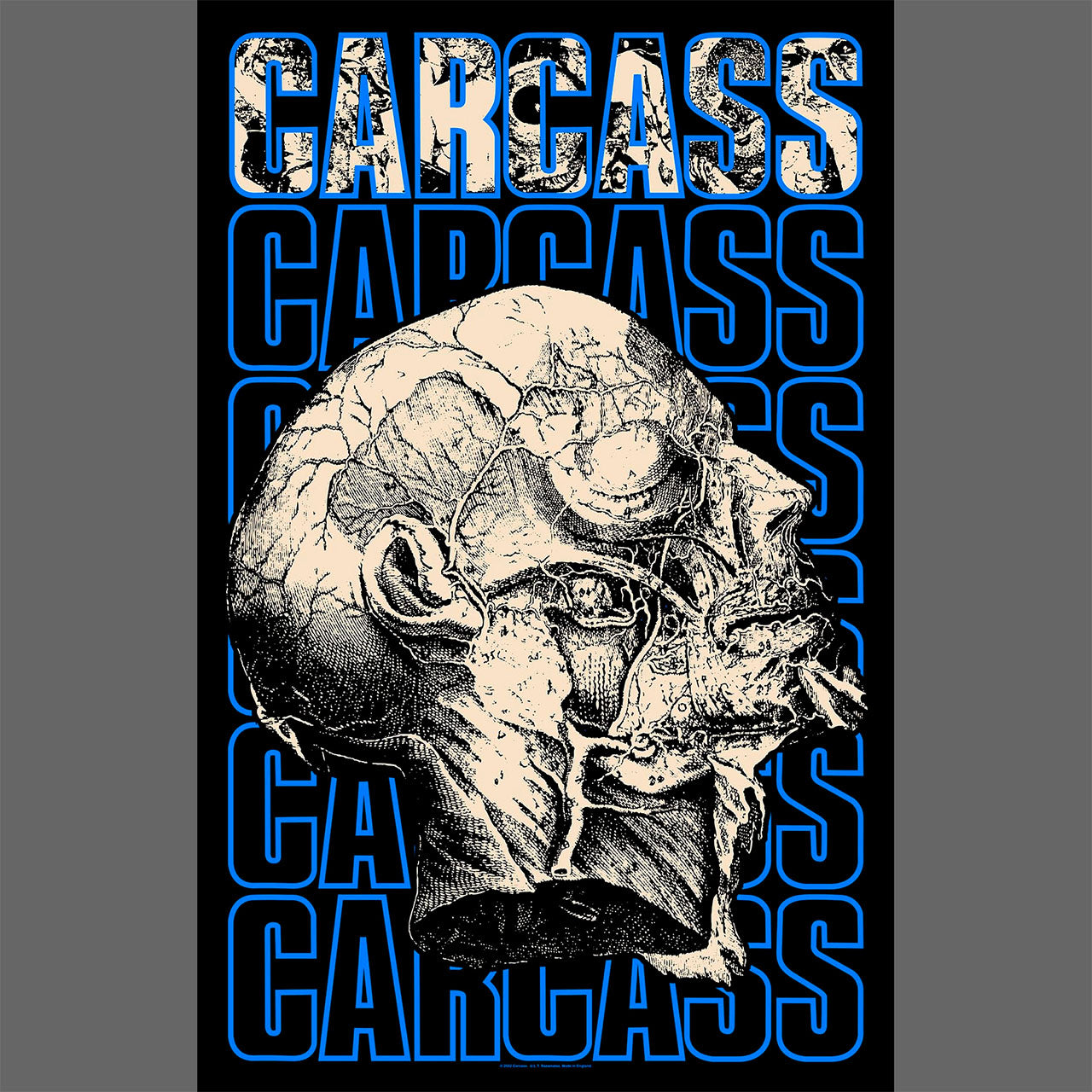 Carcass - Necroticism (Head) (Textile Poster) | Todestrieb