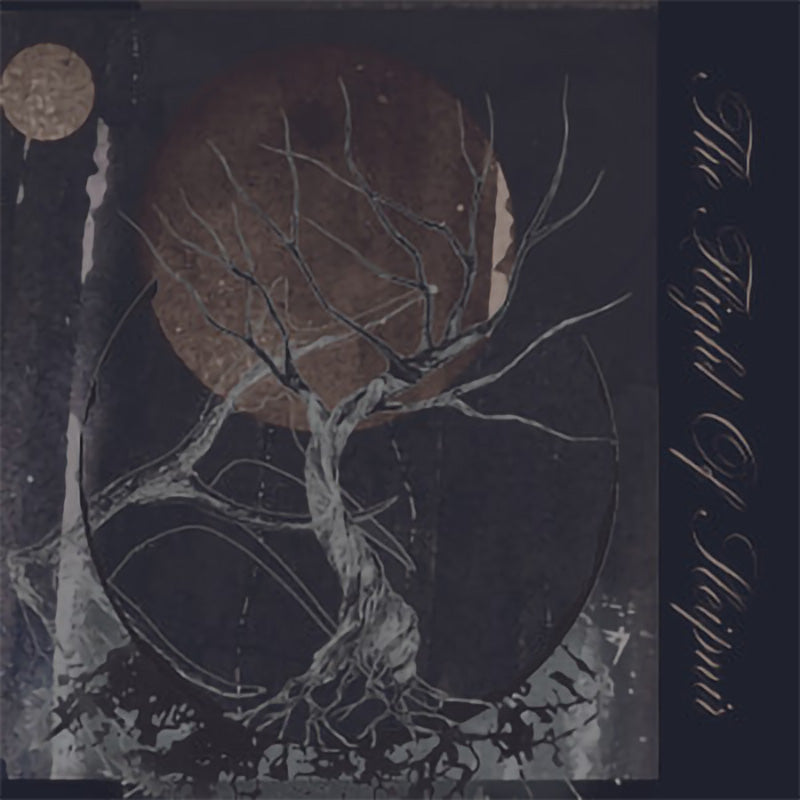 The Flight of Sleipnir - Algiz + Berkanan (CD) | Todestrieb
